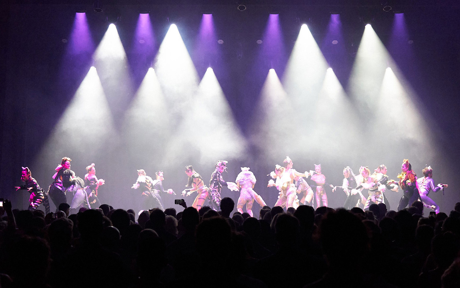 GALLERY | Body Electric Dance Studios